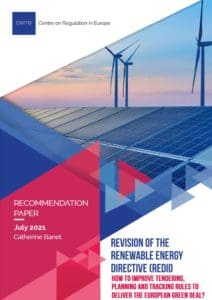 Revision of the Renewable Energy Directive (REDII): How to improve ...