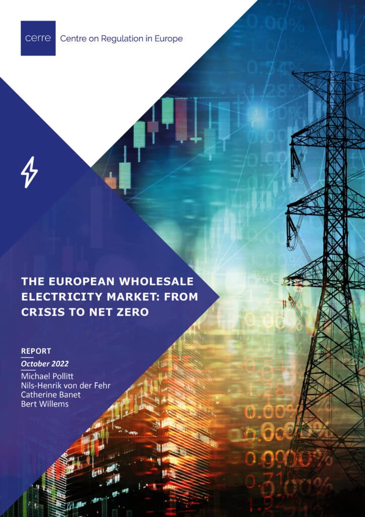 The European Wholesale Electricity Market: From Crisis to Net Zero - CERRE