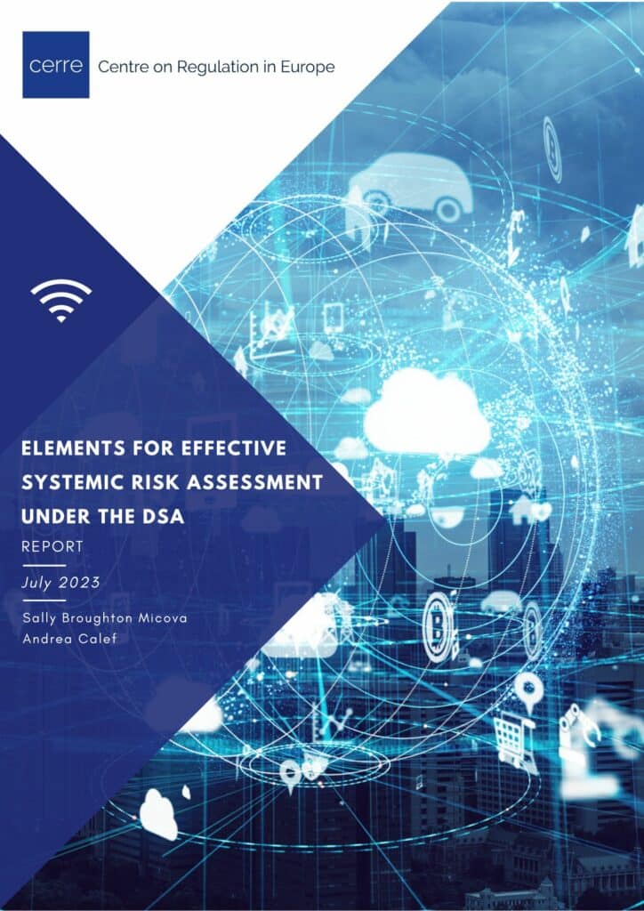 Elements for Effective Systemic Risk Assessment under the DSA - CERRE