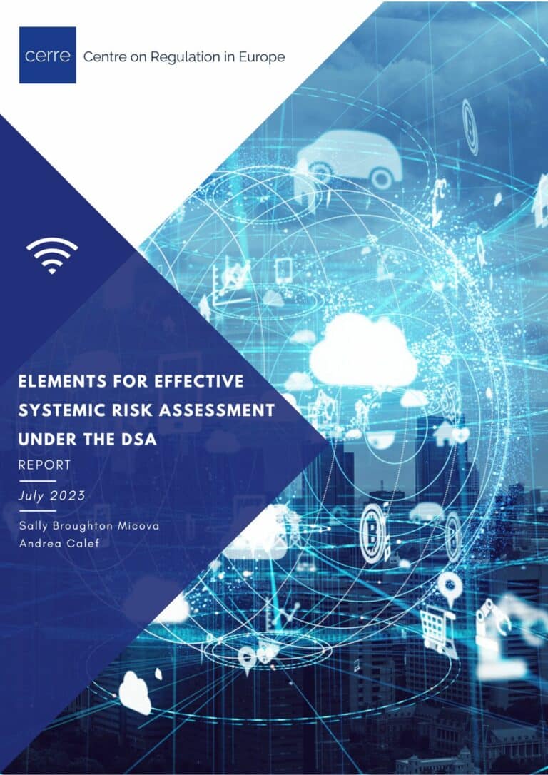 Elements for Effective Systemic Risk Assessment under the DSA - CERRE