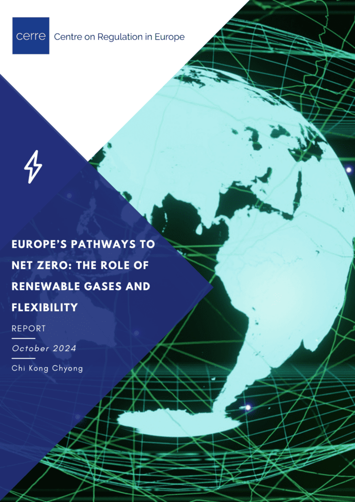 Europe’s Pathways to Net Zero: The Role of Renewable Gases and ...